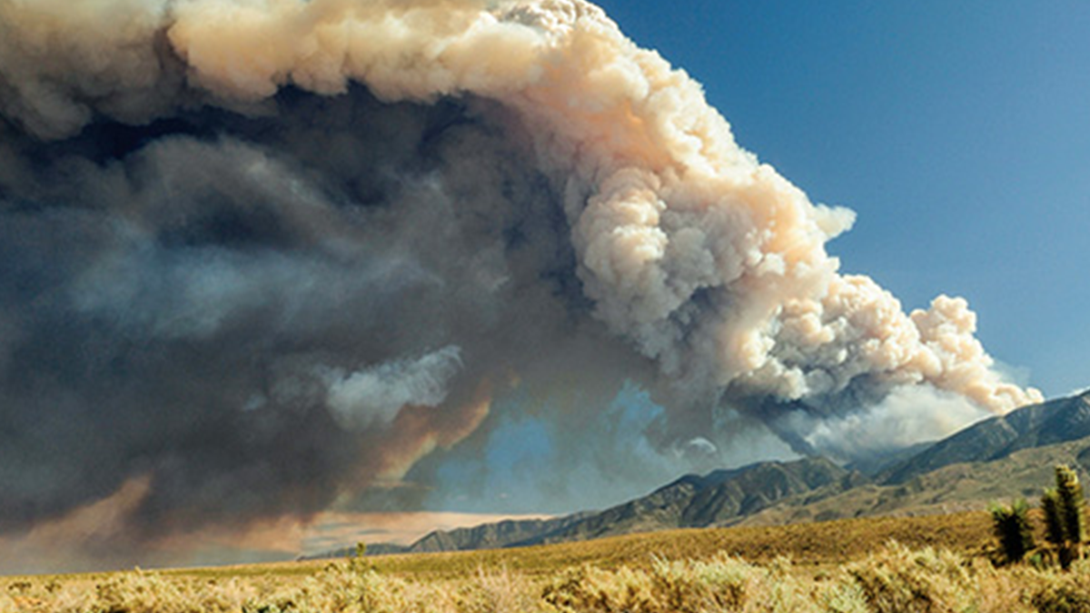 UC San Diego Scientists Advocate Combining Technical and Social ...